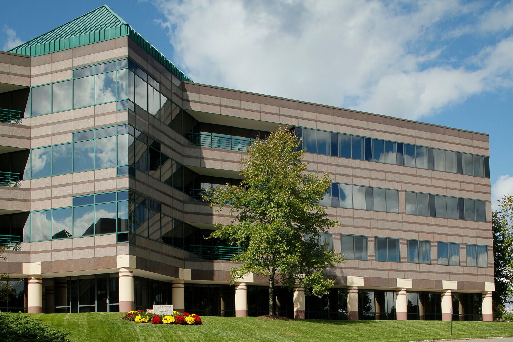 Blue Management Services