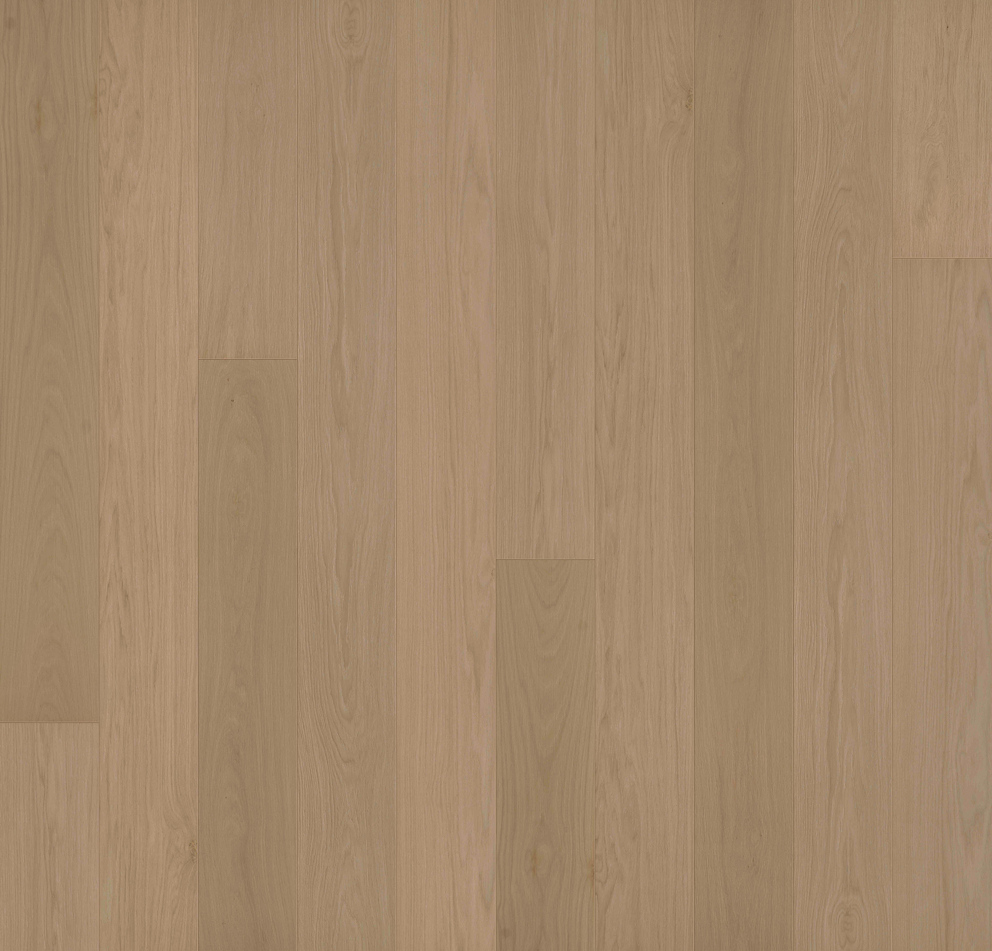Doma Select 7-1/2" | Allora Floors | 100% Made in Italy
