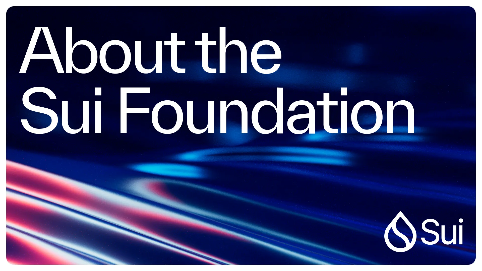 Sui | About the Sui Foundation