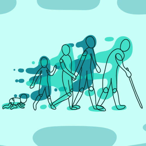 How prevalent is ADHD in older adults?