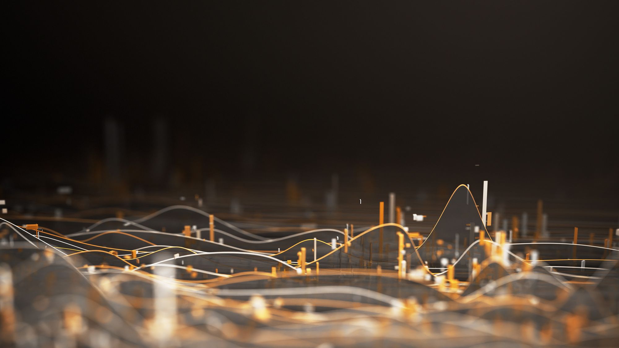 celver AG - Your Partner for Management and IT