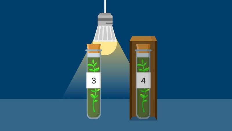 Free Virtual Lab Simulations