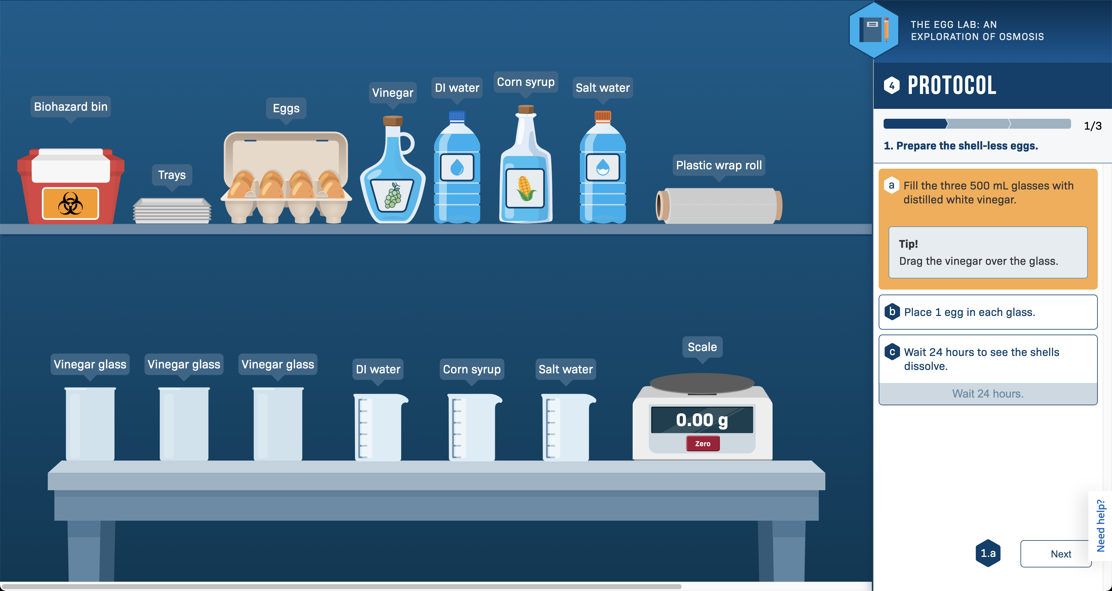 Free Virtual Lab - Egg Lab for Teaching Osmosis - LabXchange