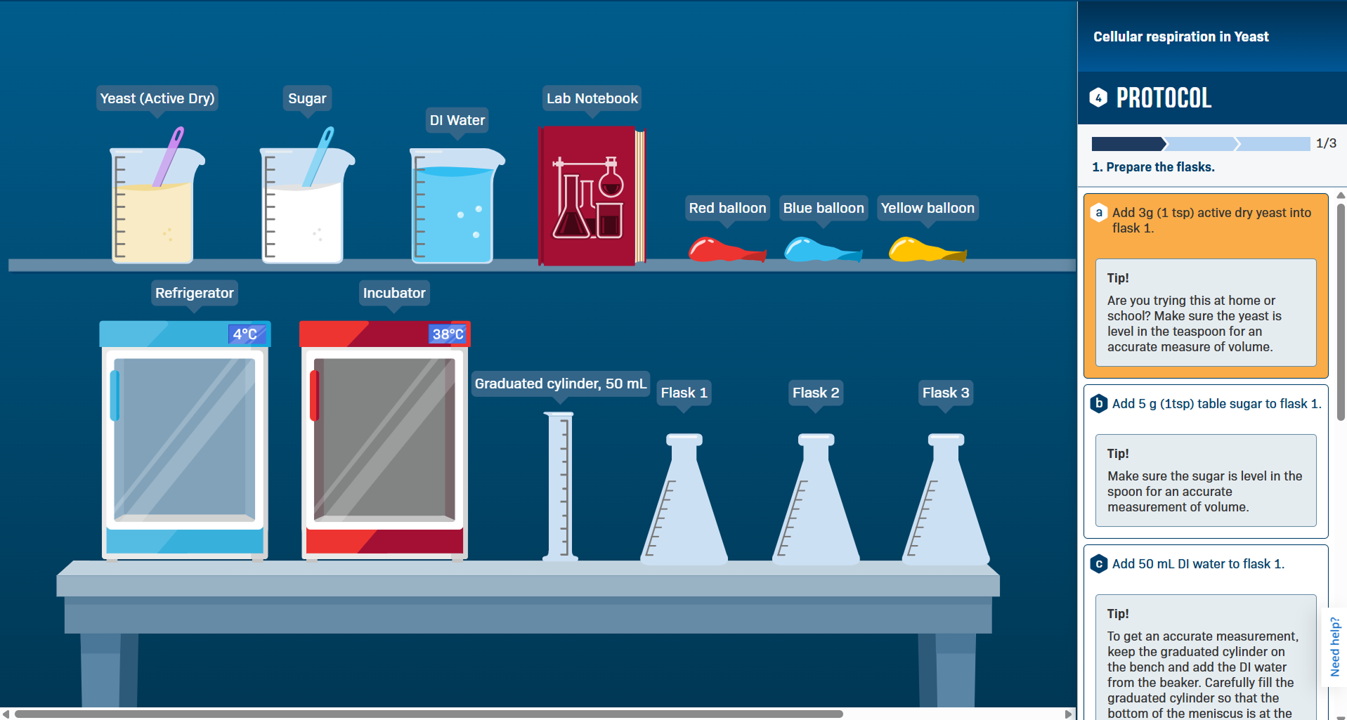 Free Virtual Lab - Cellular Respiration in Yeast