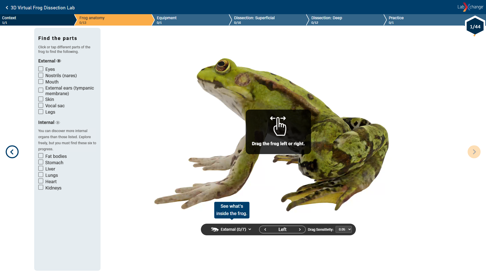 Free activity - 3D Hands-on Virtual Frog Dissection Lab