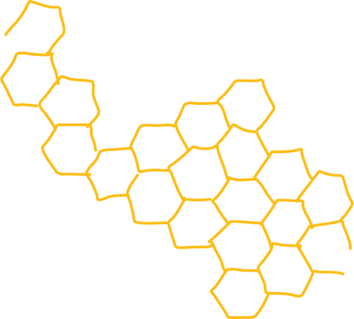 Standard Application Online (SAO) | Private School Application