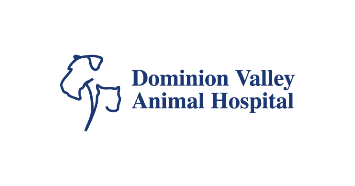 High-Quality Vet Hospital in Haymarket, VA | Dominion Valley Animal ...