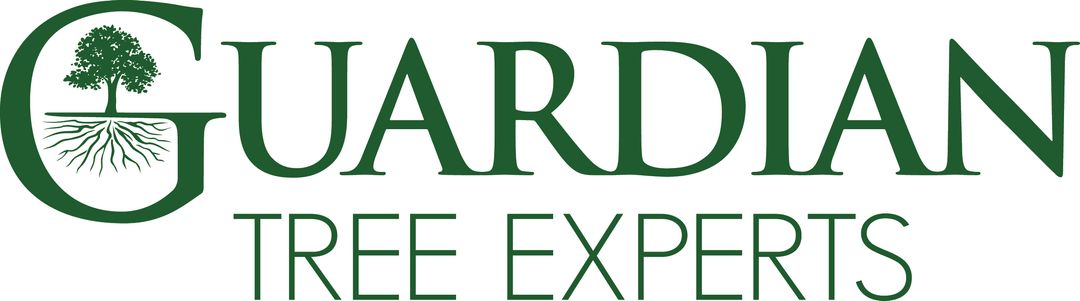 Professional Tree Care Services in Ann Arbor, MI | Guardian Tree Experts
