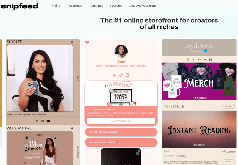 Snipfeed Explained: A Beginner's Guide