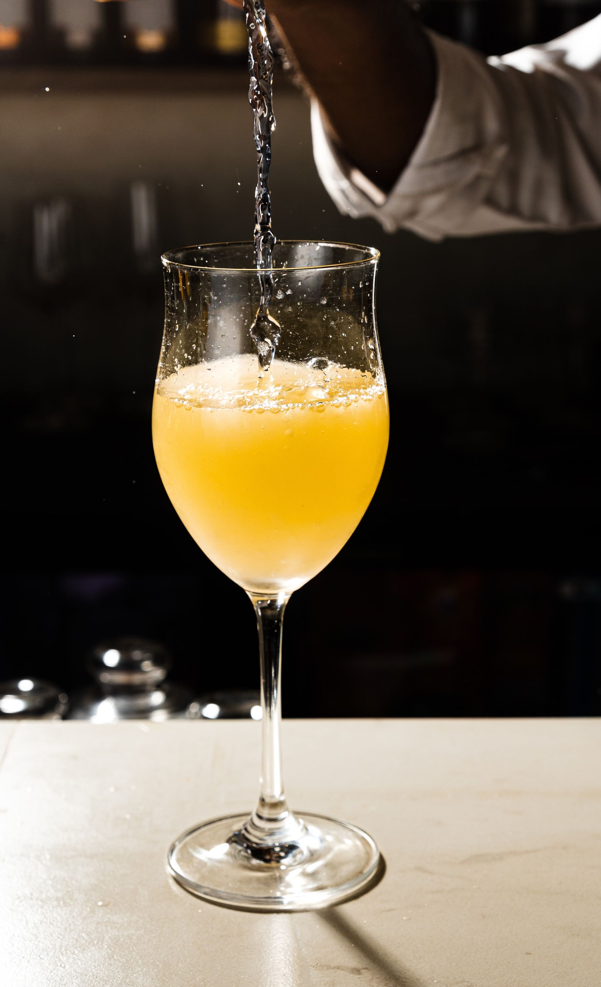 Acapella Foods and Restaurants Hospitality - Shaan Gidwani