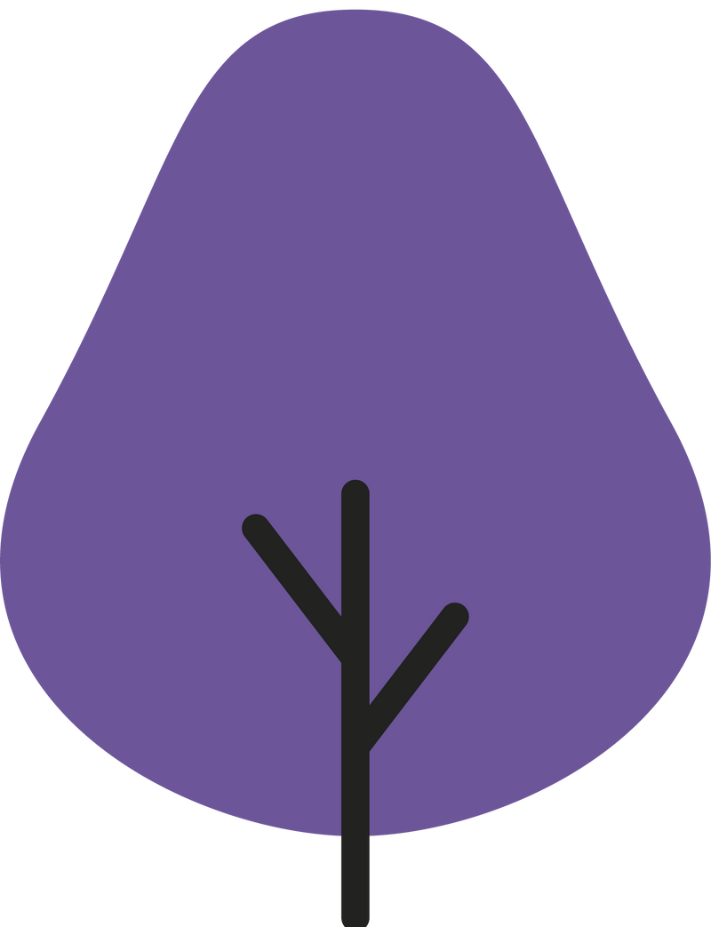 Dr Katalin Ress | Berkeley Psychiatrists