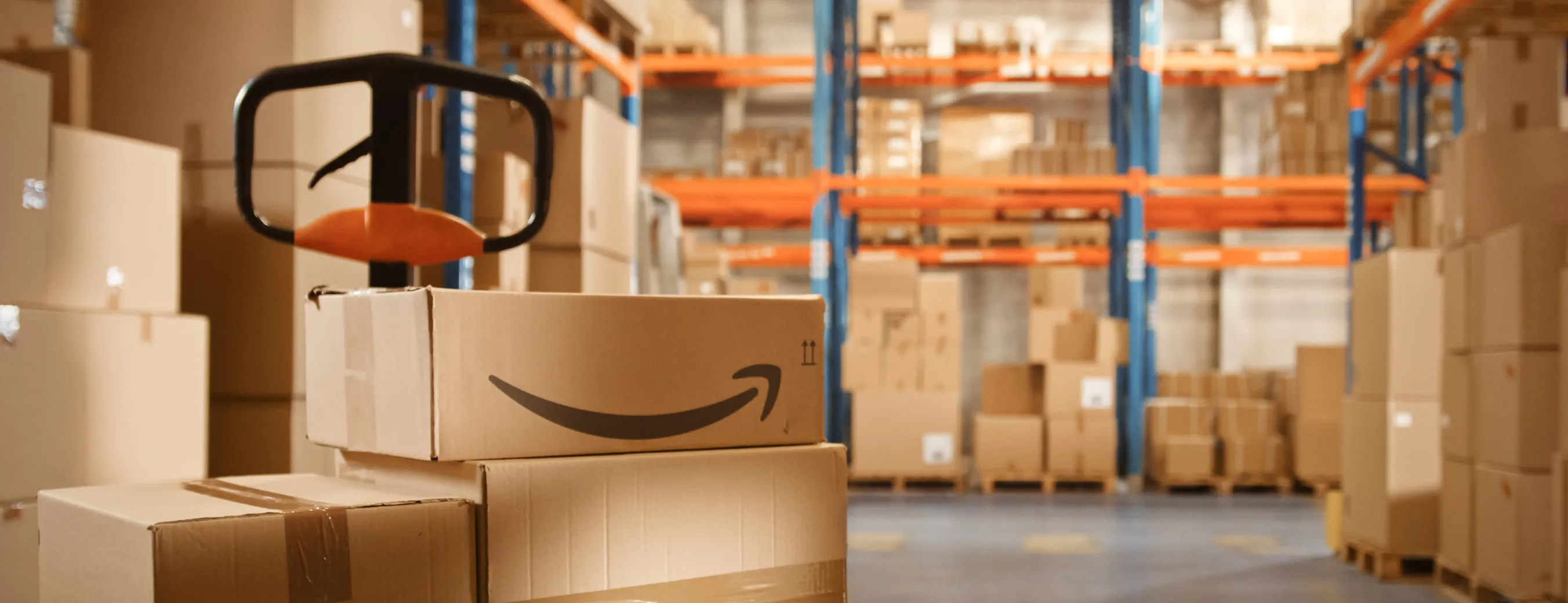 Is Amazon FBA Worth It? Factors to Consider & Costs
