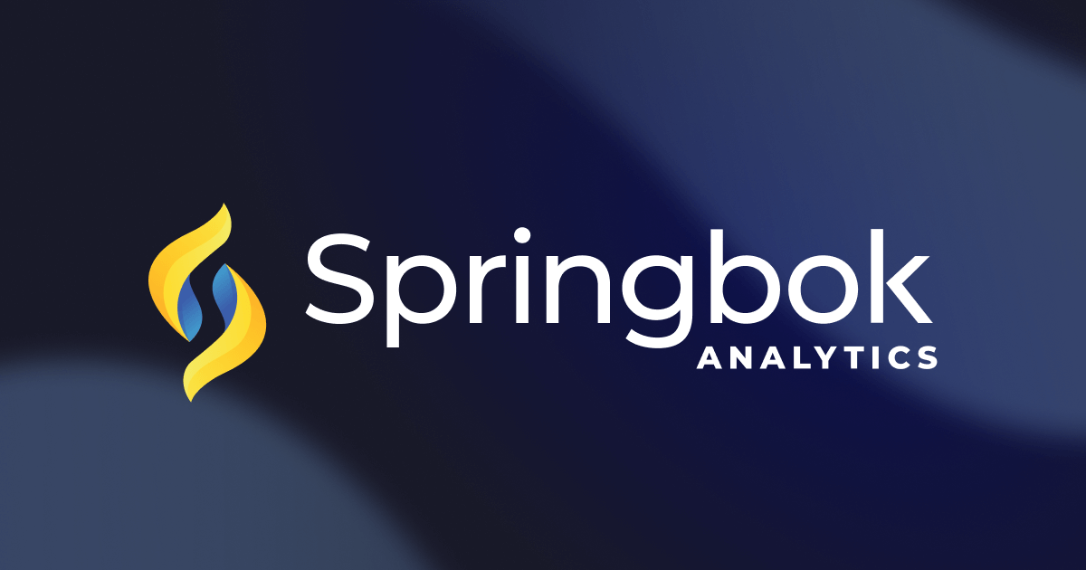 Springbok Analytics: 10 Key Things You Must Know