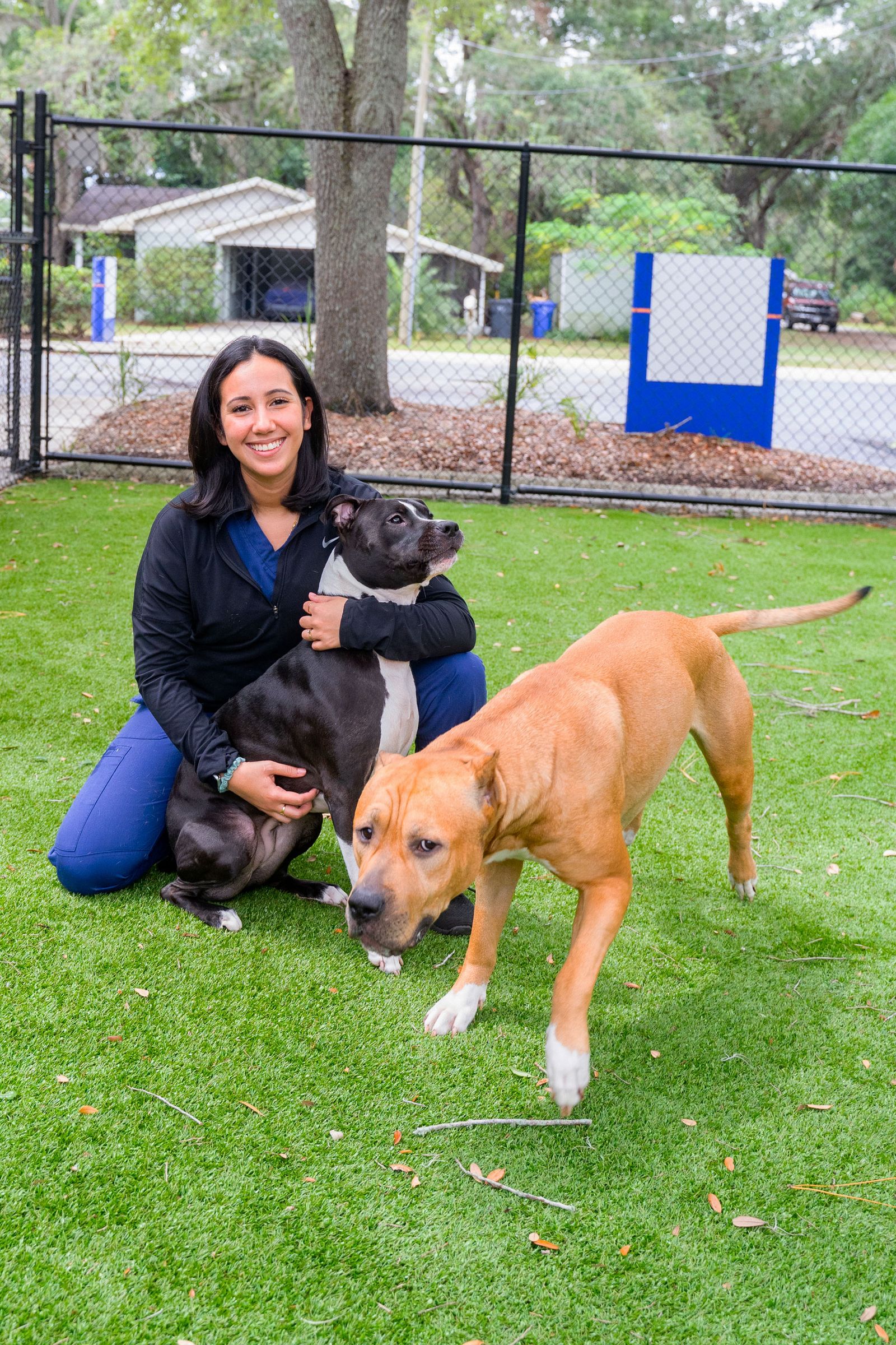 High-Quality Vet Hospital in Riverview, FL | Riverview Veterinary Hospital