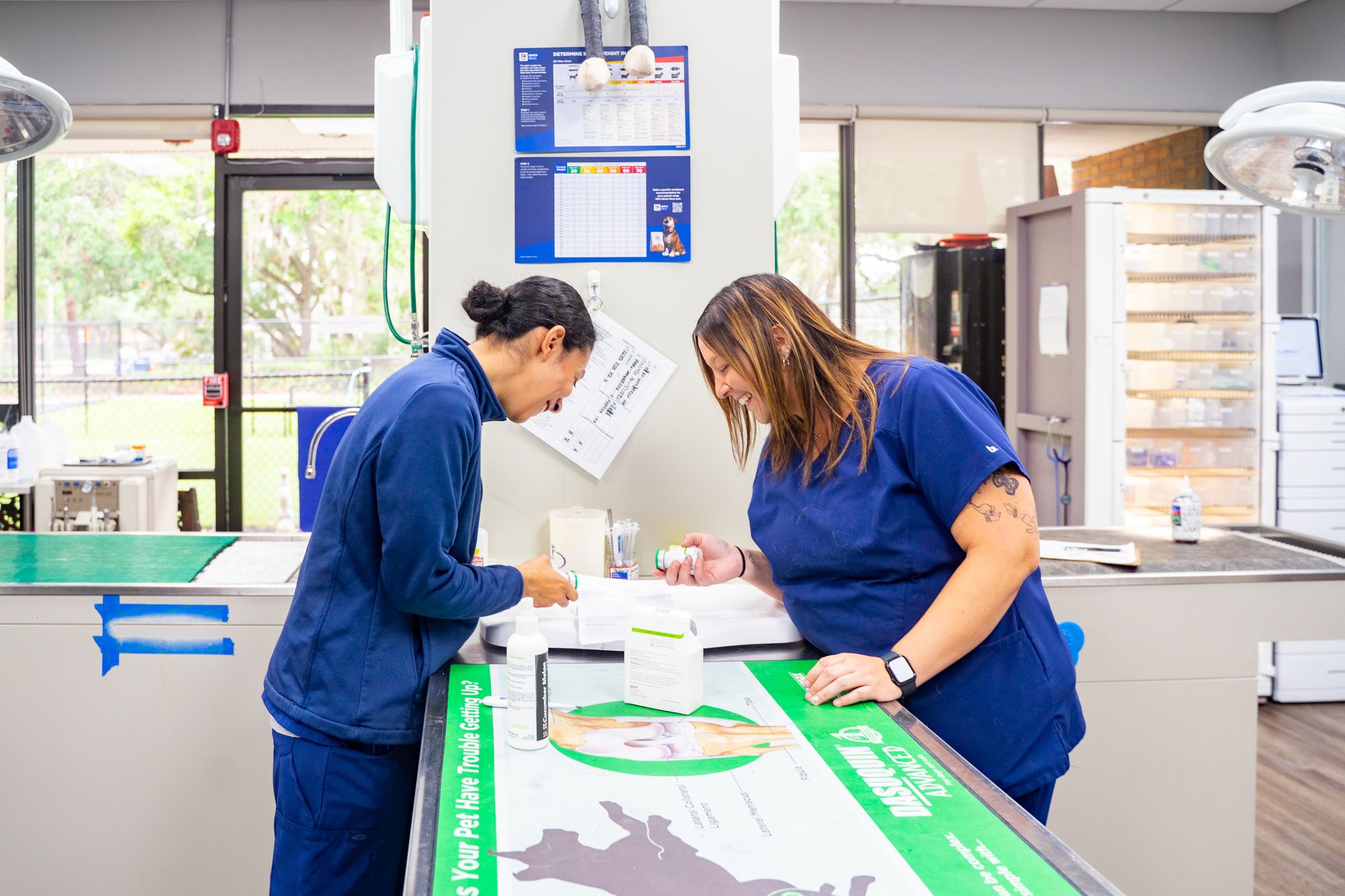 High-Quality Vet Hospital in Riverview, FL | Riverview Veterinary Hospital