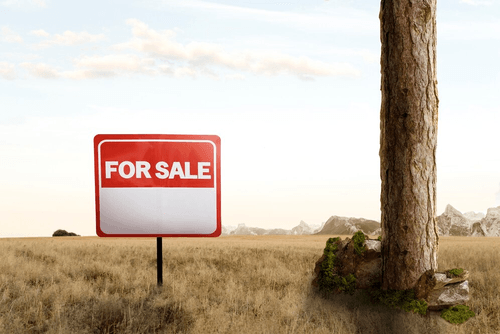 Plot for Sale Advertisement Sample | Write Winning Ads