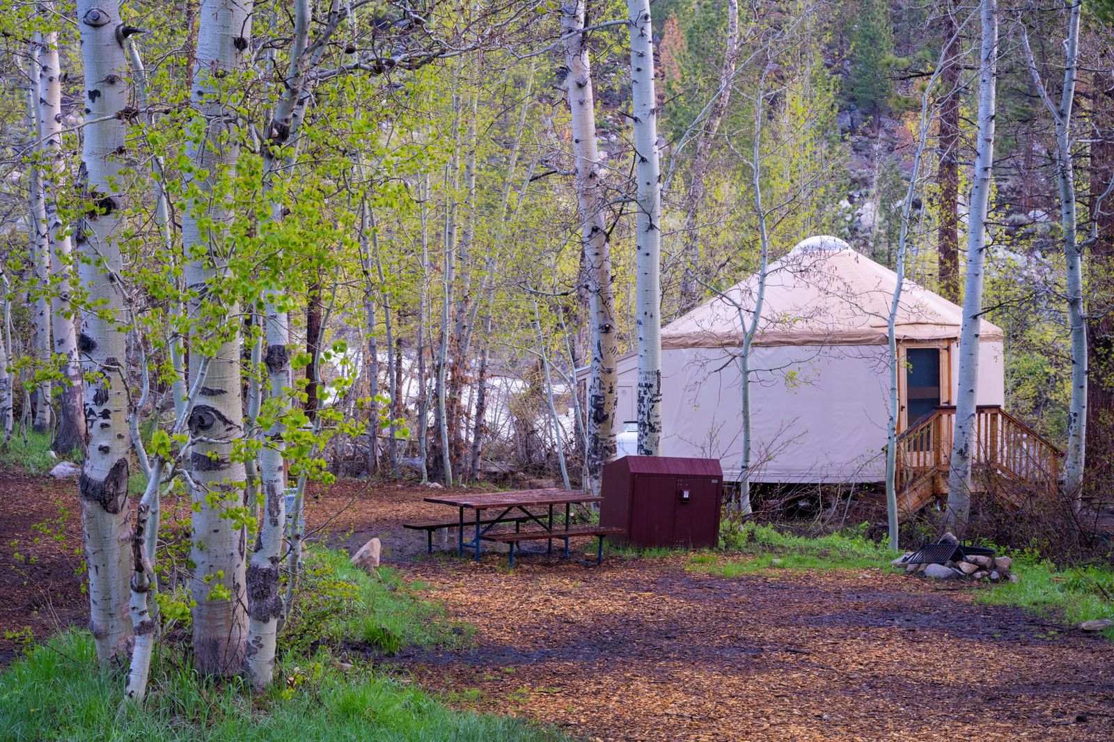 Yurts