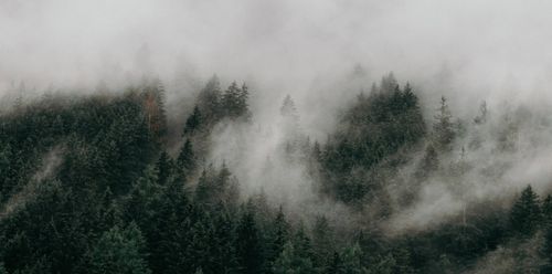 Nuestros Proyectos | Canopia Carbon