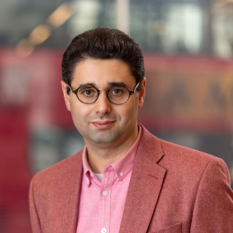 IPIE - International Panel on the Information Environment