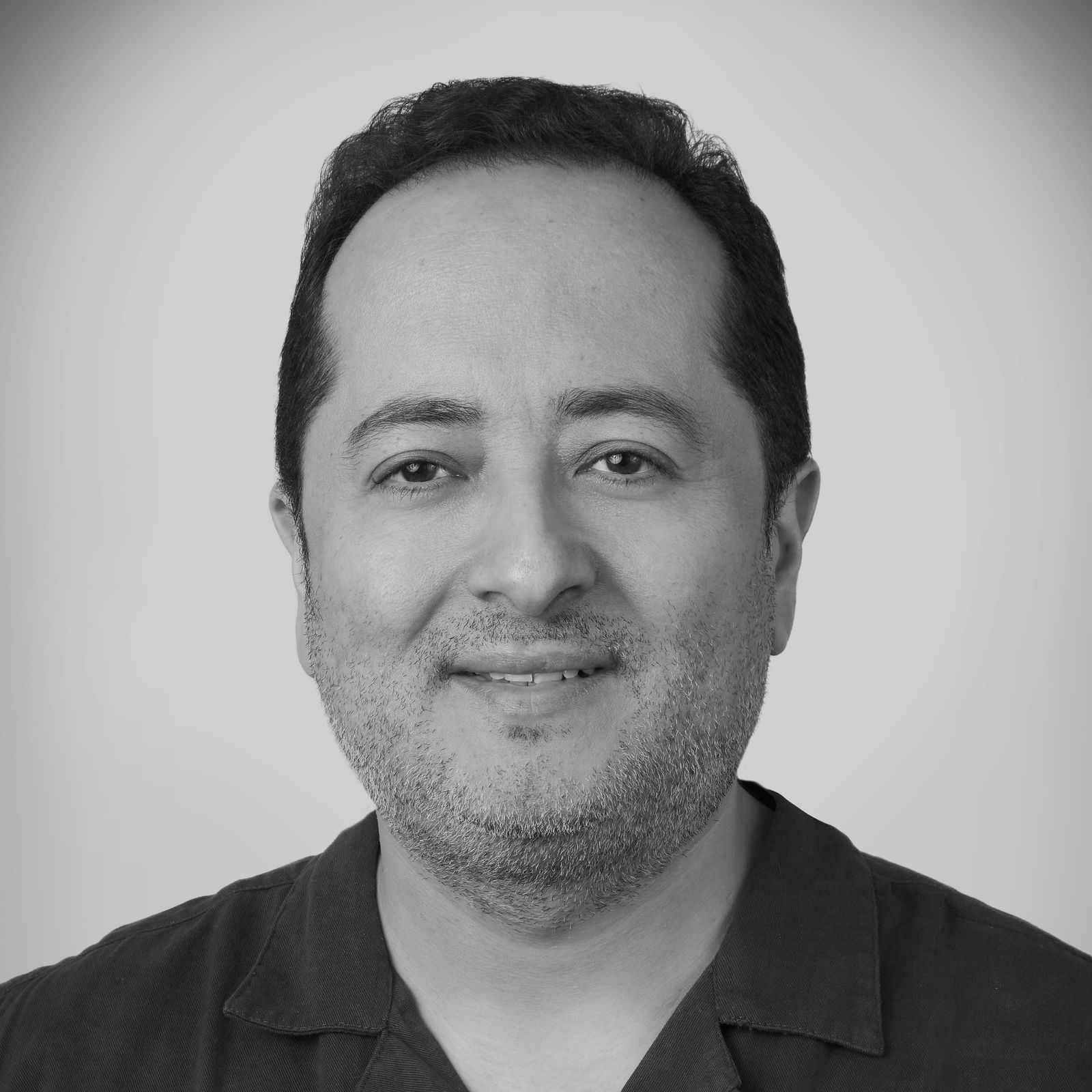 IPIE - International Panel on the Information Environment