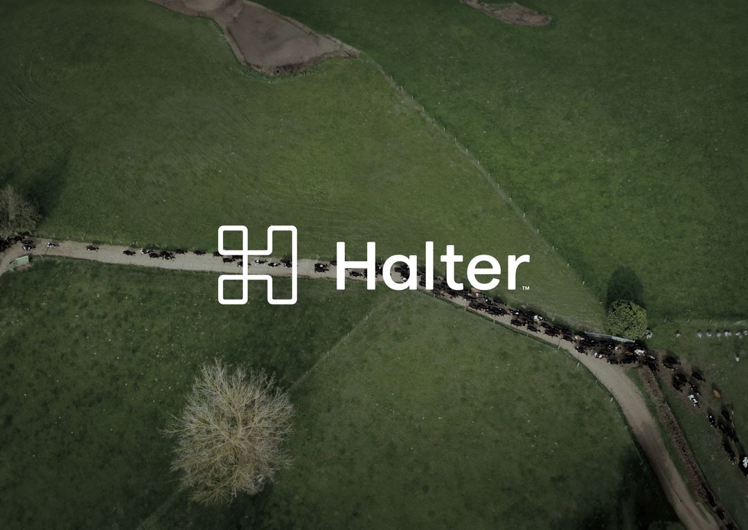 ThoughtFull™ | Projects | Halter