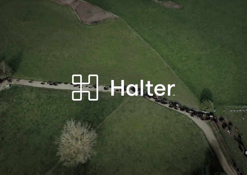 ThoughtFull™ | Projects | Halter