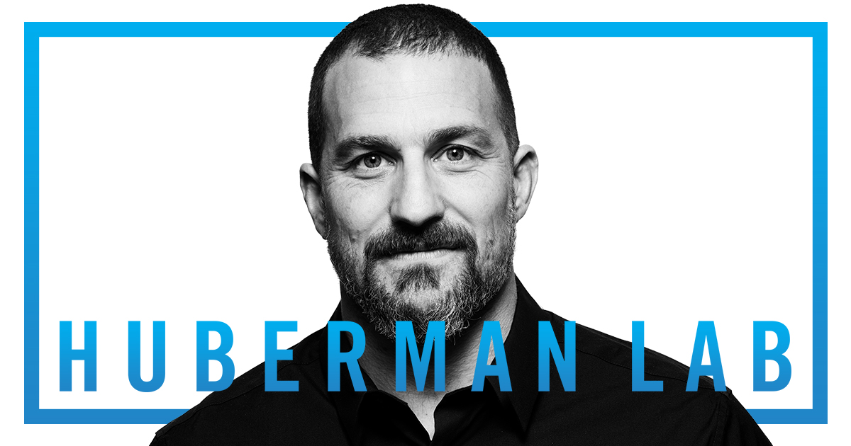 Dr. Andrew Huberman's Daily Routine - Huberman Lab