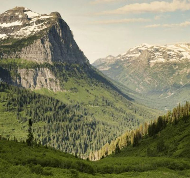 State Law Resources Member Firms