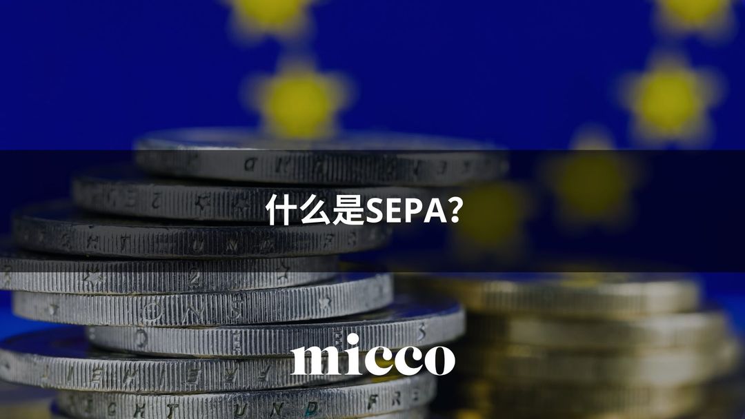 什么是SEPA？