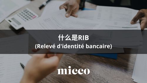 什么是RIB（Relevé d'identité bancaire）？