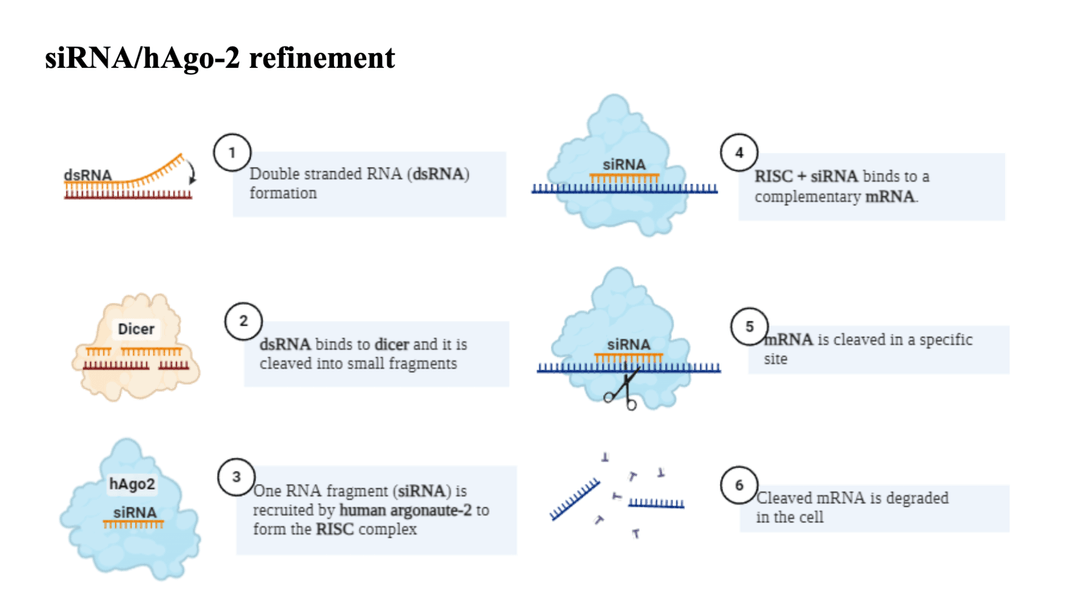 Non-Trivial | Impactful Research Programs for High Schoolers ($2,000 ...