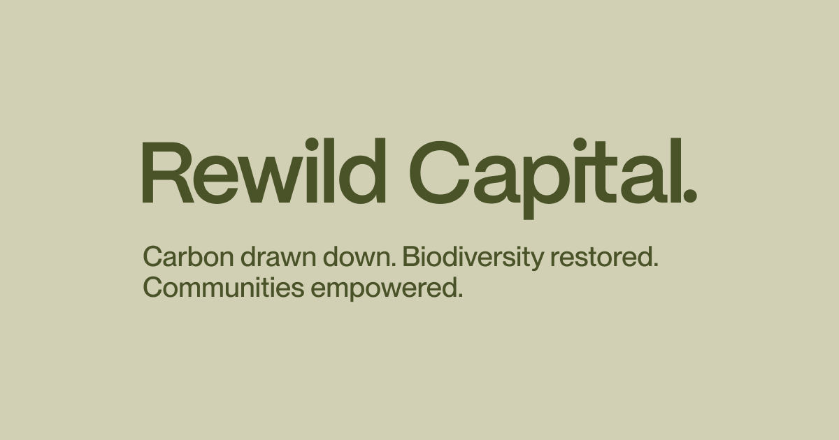 Research | Rewild Capital's Studies & Insights into Carbon ...