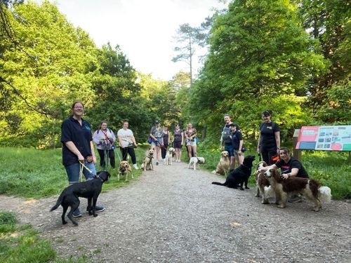 100% Natural Dog Treats - Satch's Snacks