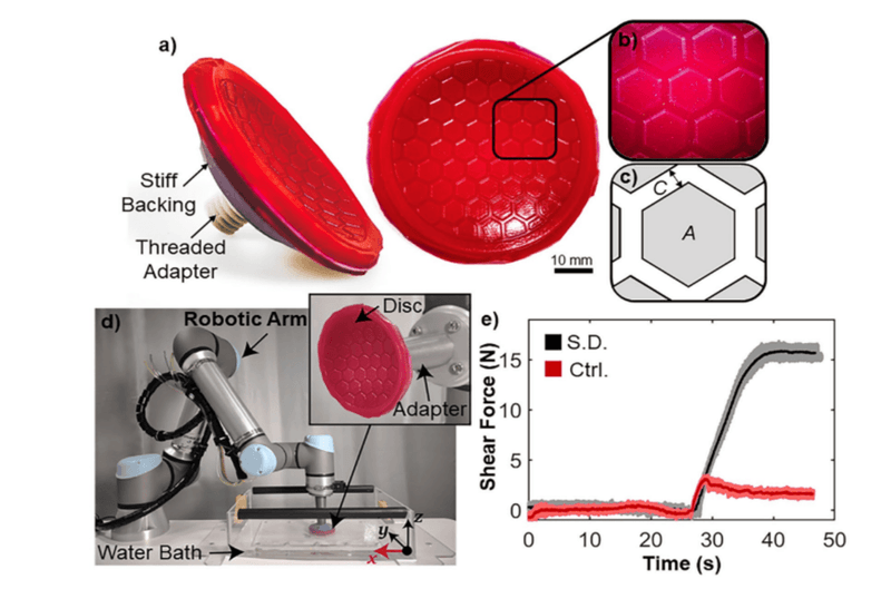 Project CETI •-- News, Research & Insights