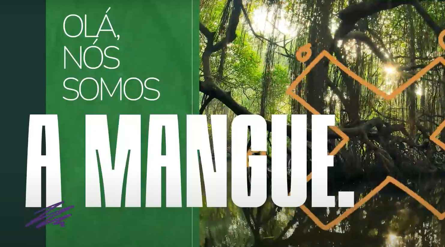 Mangue | We Tech ESG