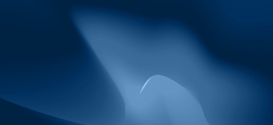 Insights | Pacific Lake