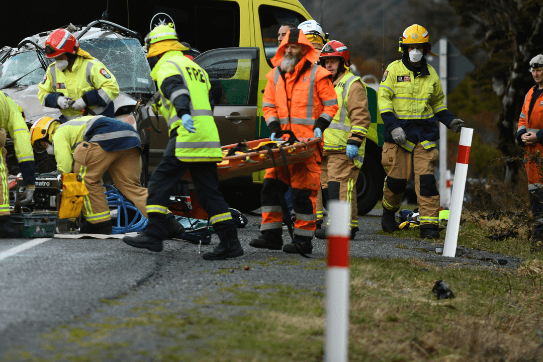 Triage-Plus home page