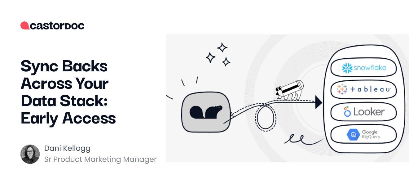 Sync Backs Across Your Data Stack - Catalog Blog