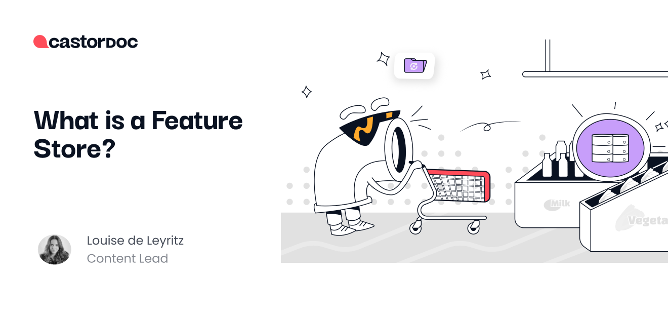 What is a Feature Store? - Catalog Blog