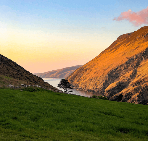 Rex Rental | Low Cost Vehicle Rentals in the Isle of Man