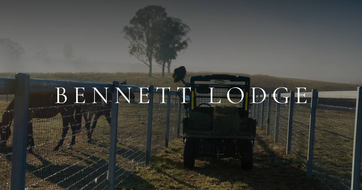 Bennett Lodge – For Agistment & Spelling in Sydney