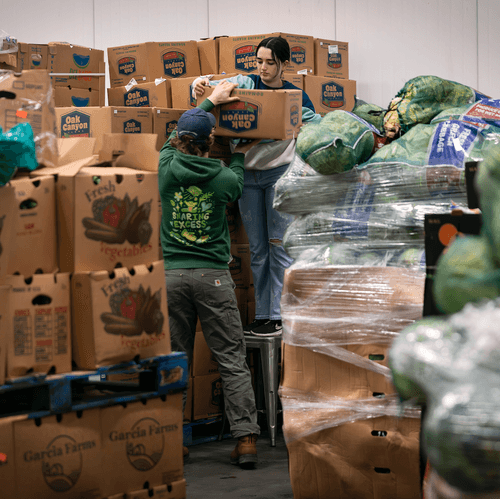 About | Sharing Excess