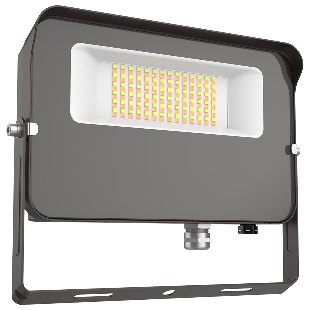 Acuity Acuity D-Series LED Flood Light | Commercial Lighting