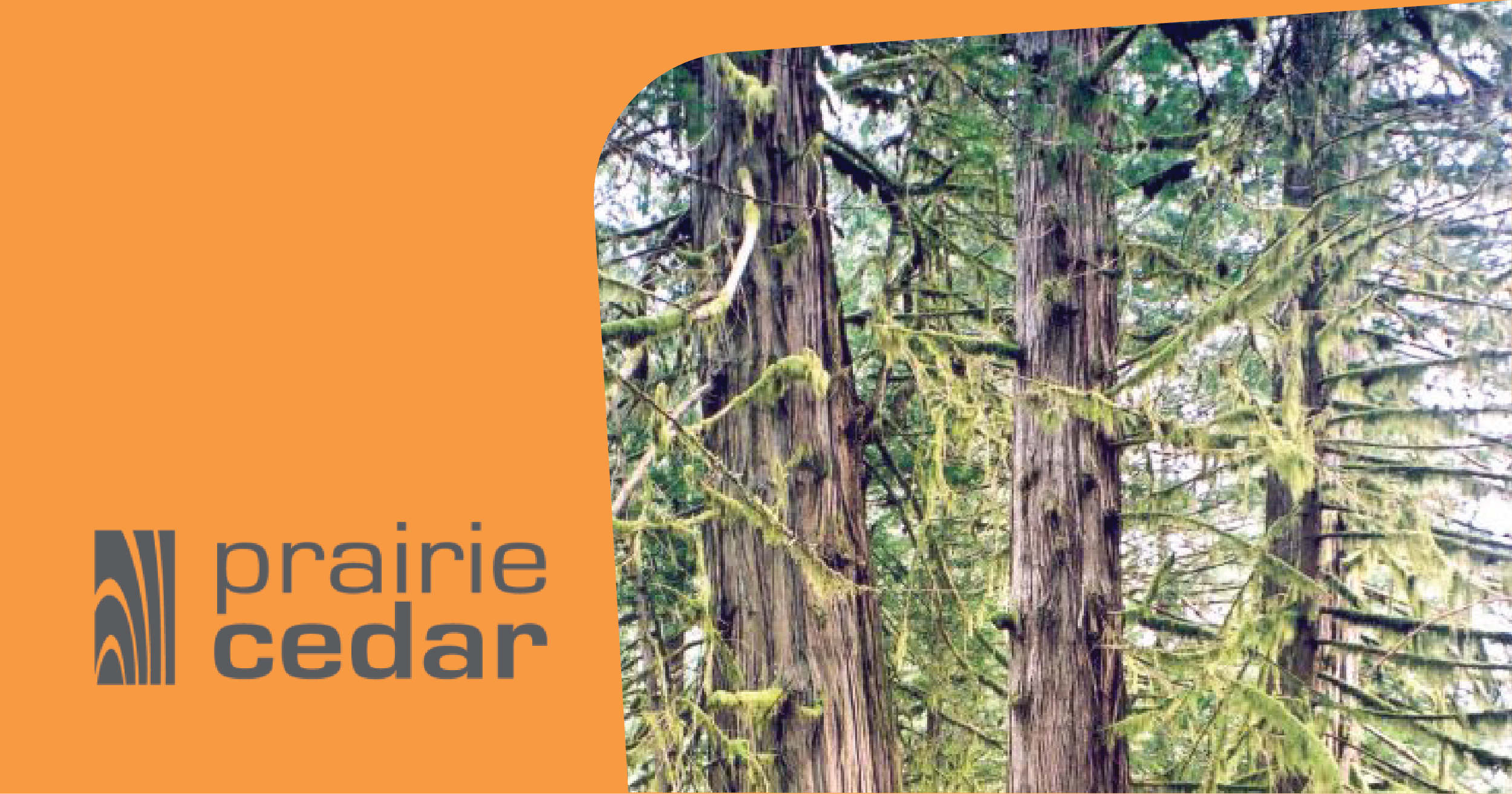 Cedar Shop Calgary - Cedar Board Wood Products Edmonton AB