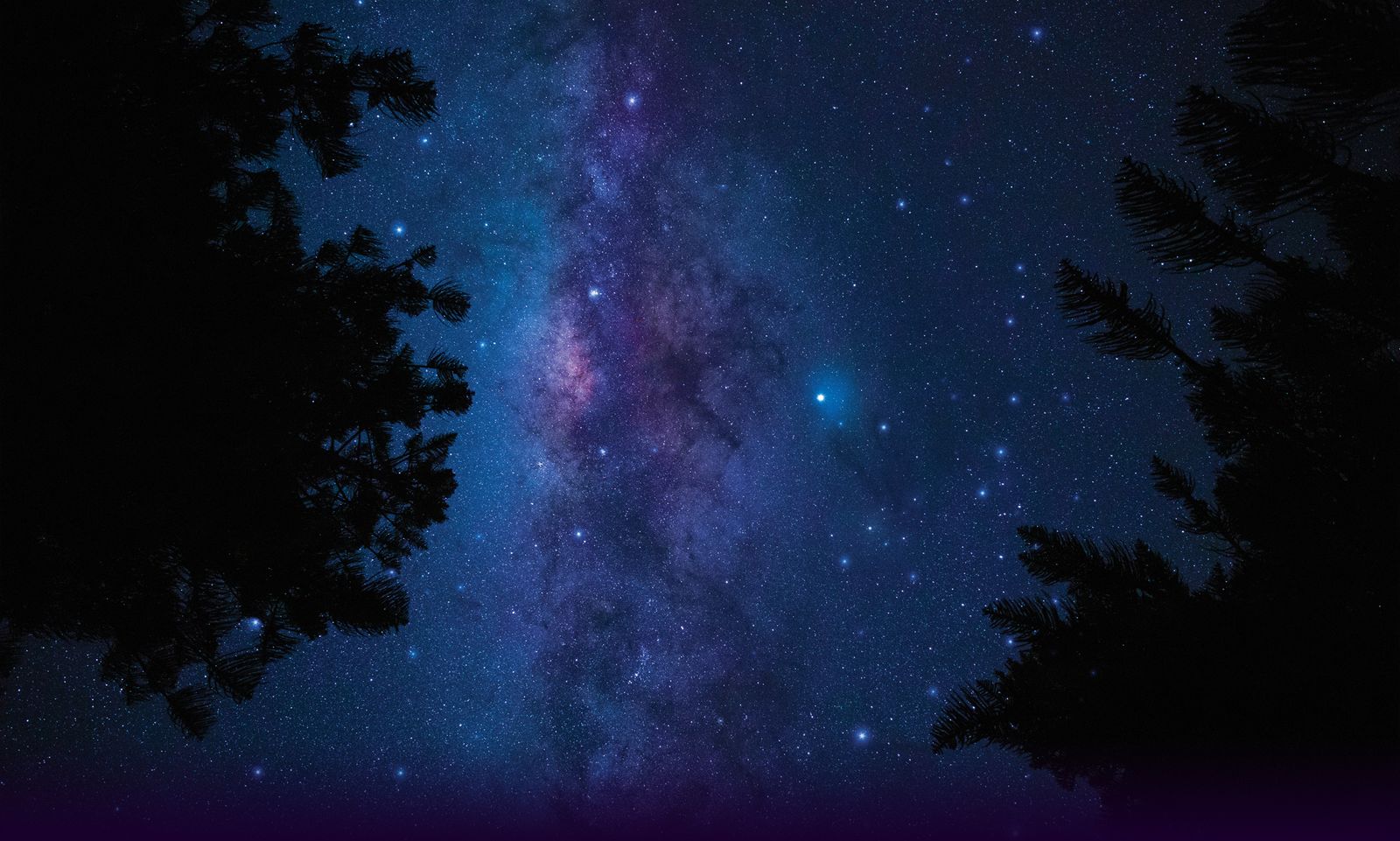 Whāriki - Māori Business Network Aotearoa