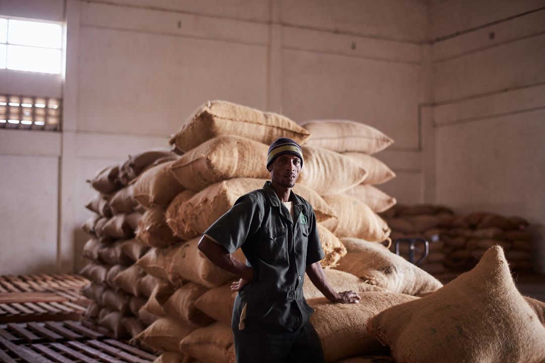 Nordic Approach - Speciality Green Coffee Importer