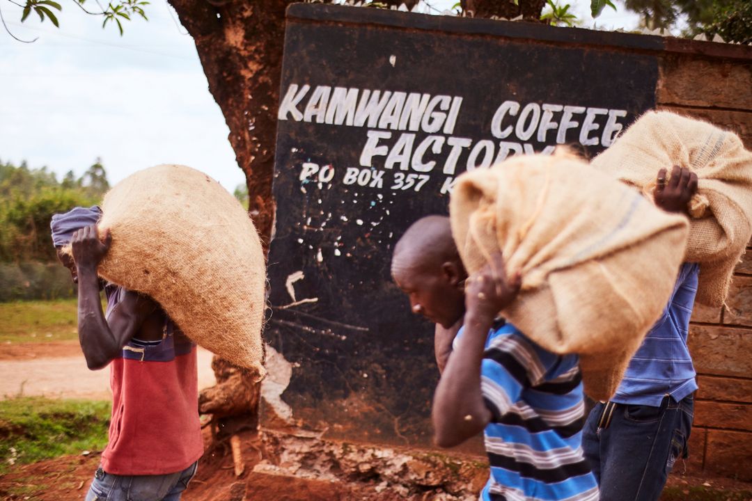 Nordic Approach - Speciality Green Coffee Importer