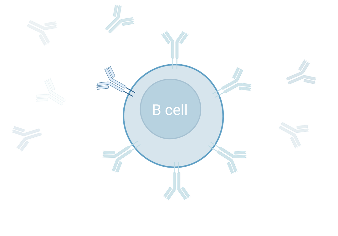 Lightcast | Profiling Function, Cell by Cell