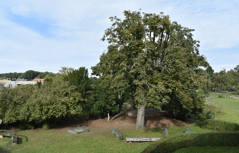 Smartschool | Vrije Basisschool 't Sjibke Betekom