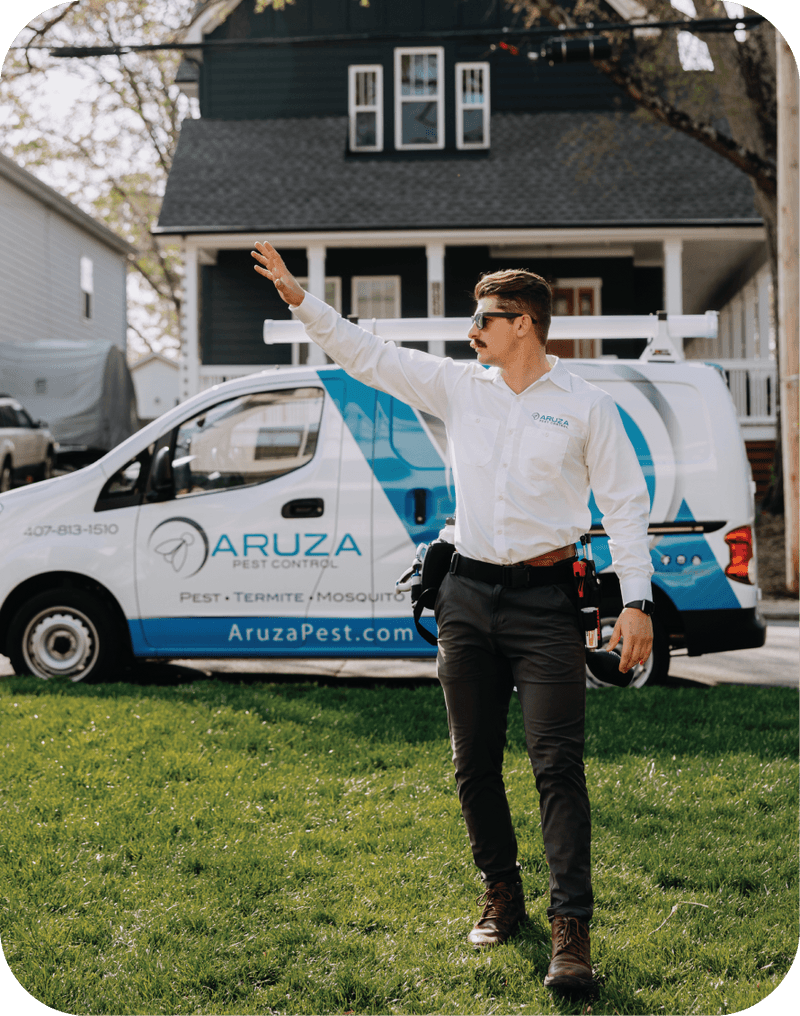 Comprehensive Pest & Rodent Exterminator | Aruza Pest Control